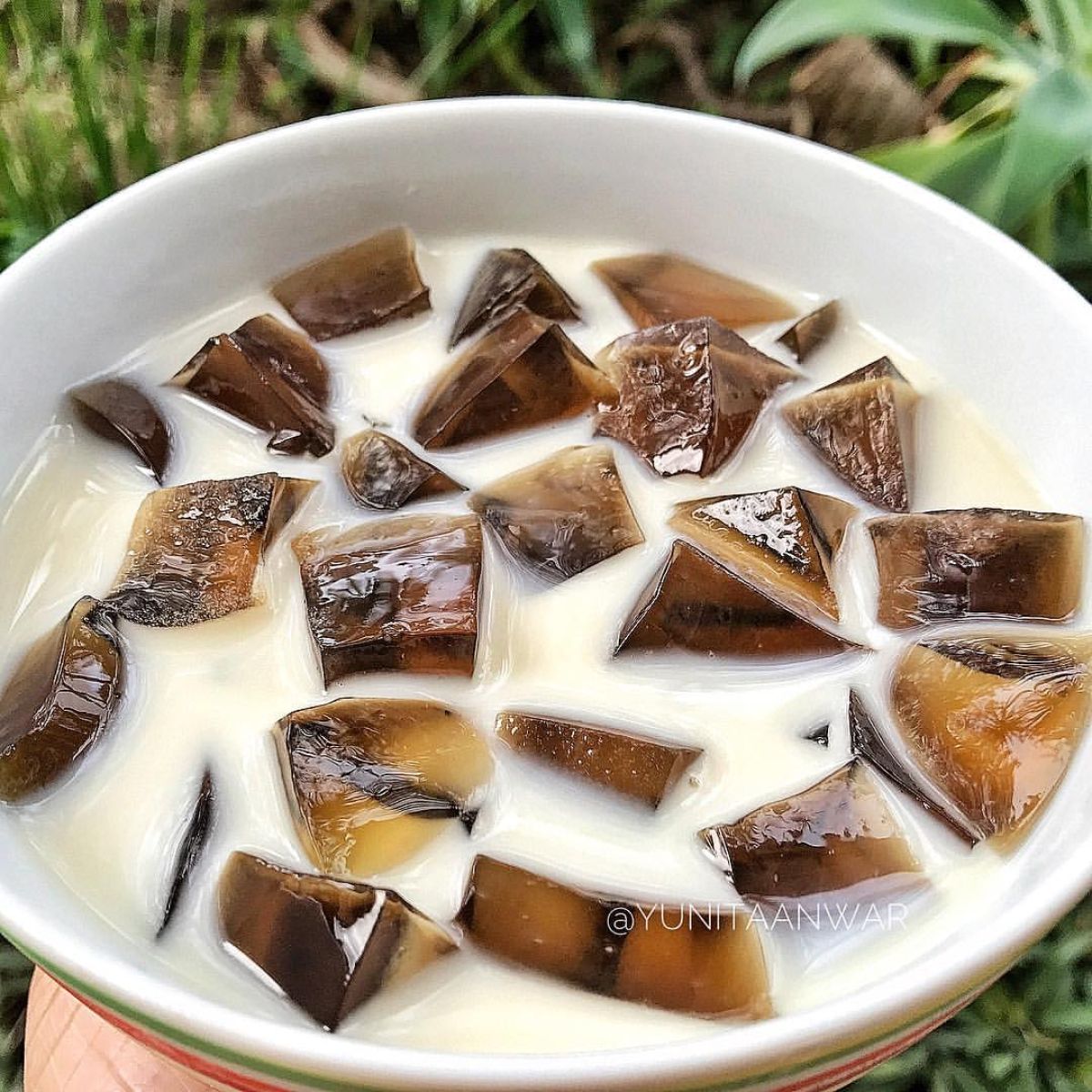 Cincau Susu Segar: Minuman Segar Tradisional Indonesia